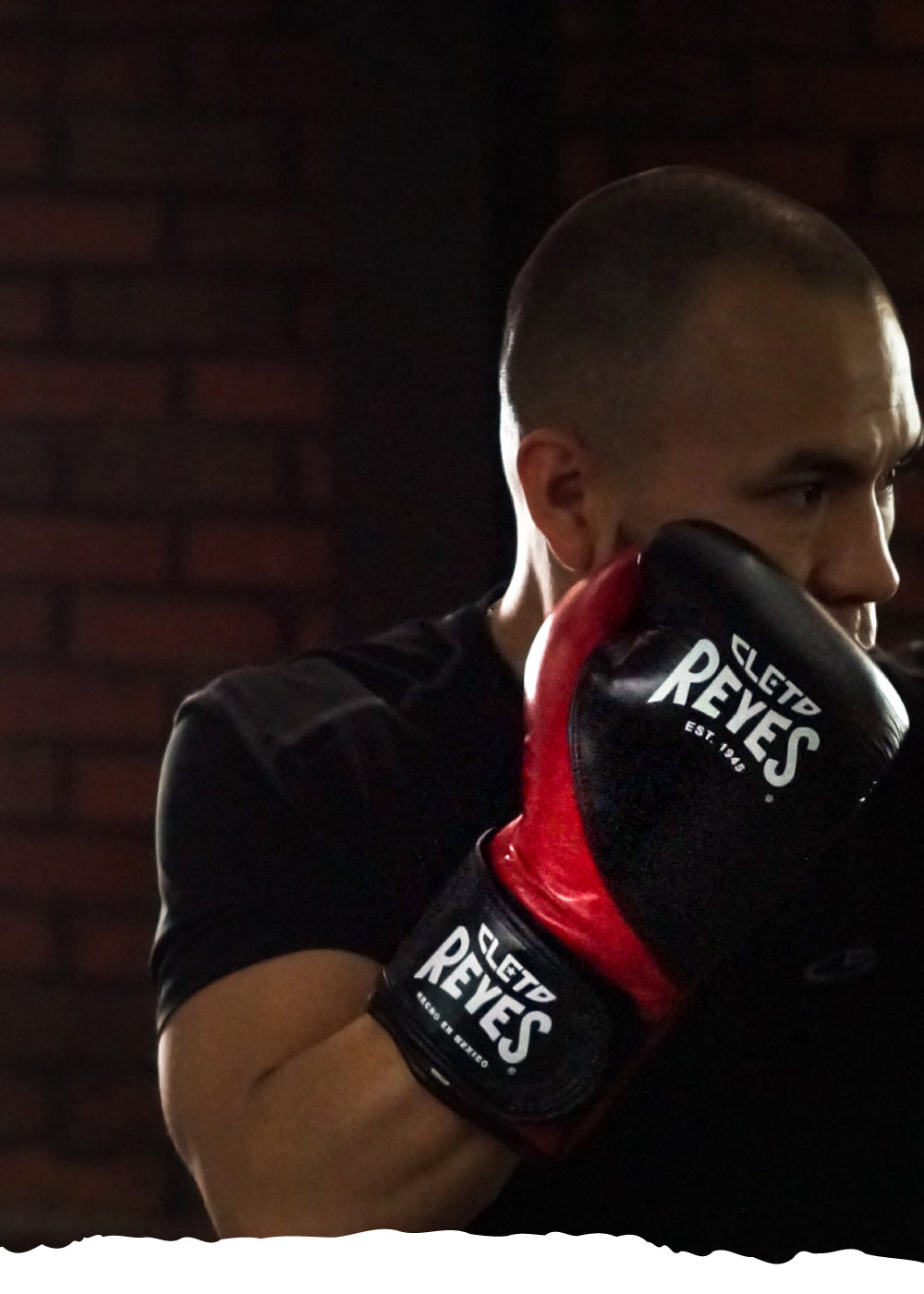 Welcome to Cleto Reyes